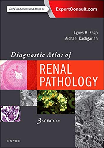 Diagnostic Atlas of Renal Pathology,